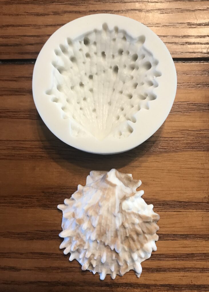 Sea shell mold number 3 - Annettes Cake Supplies
